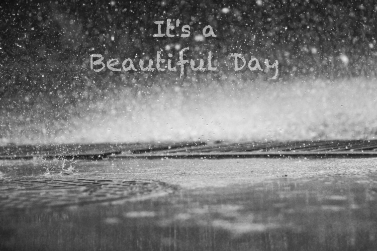 It's a Beautiful Day | Tim Trudeau