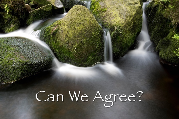 Can We Agree? | Tim Trudeau